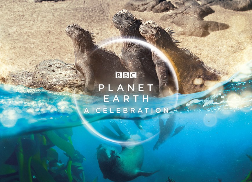Planet Earth Bbc Planet Earth Bbc